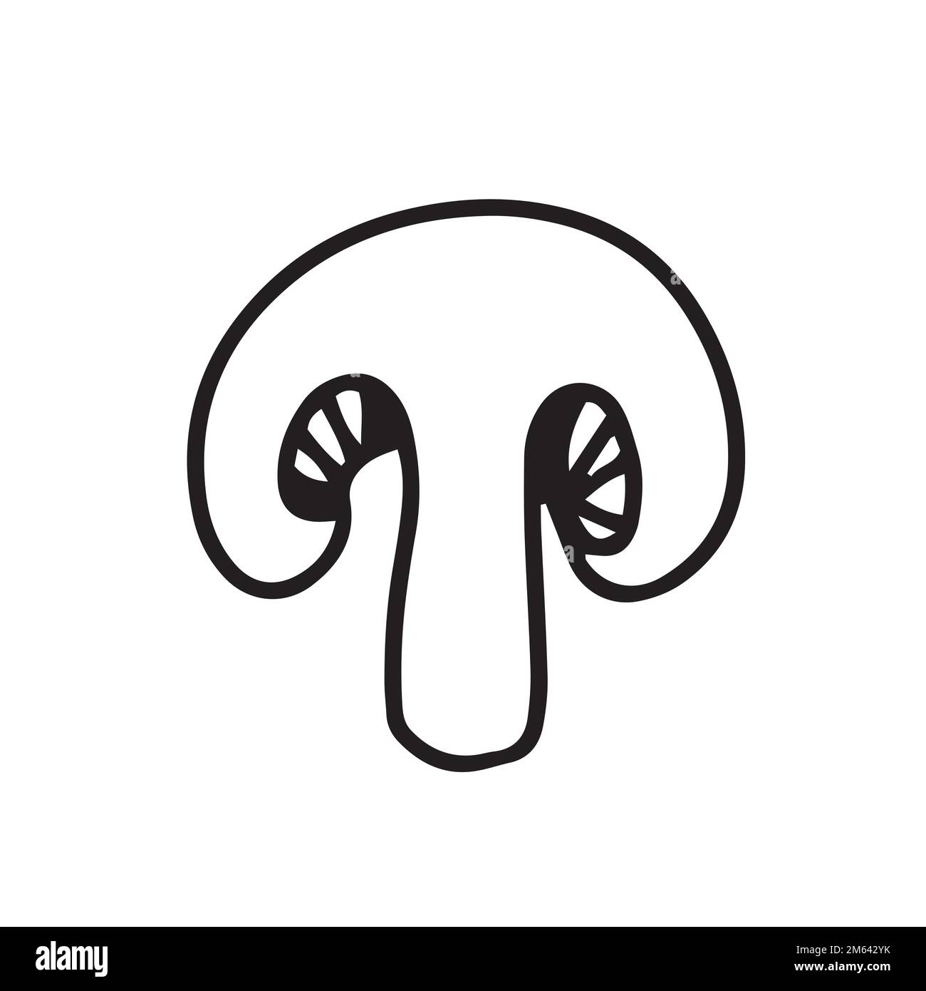 Hand drawn doodle mushroom Stock Vector Image & Art - Alamy