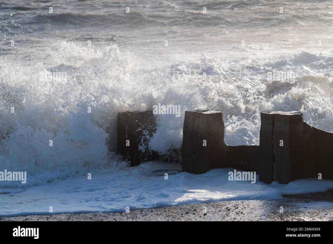 Bexhill groynes hi-res stock photography and images - Alamy