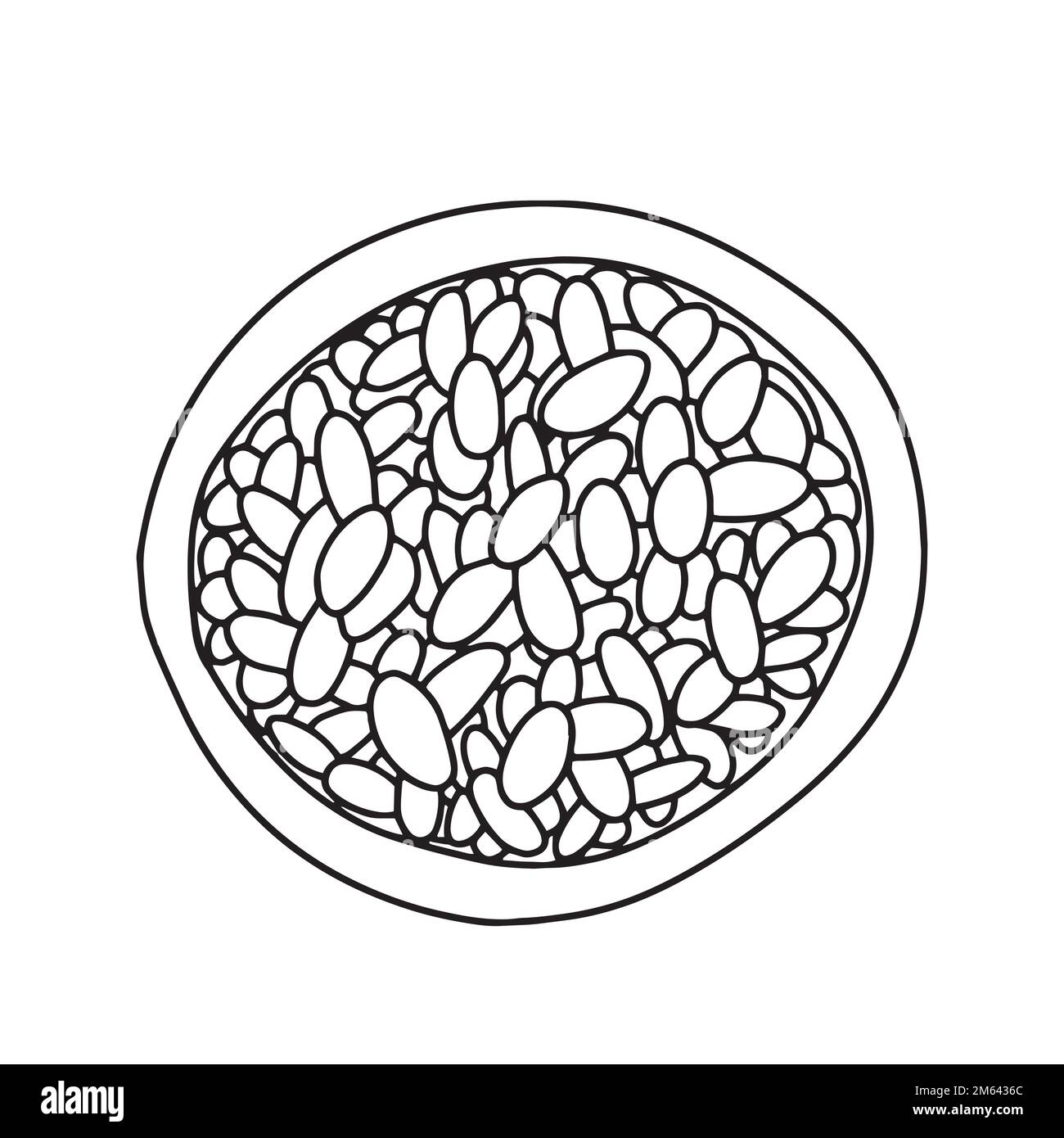 Vector plate with peanut sketch Stock Vector Image & Art - Alamy