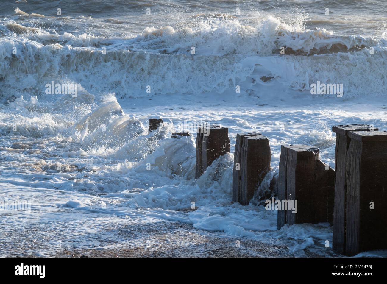 Bexhill groynes hi-res stock photography and images - Alamy