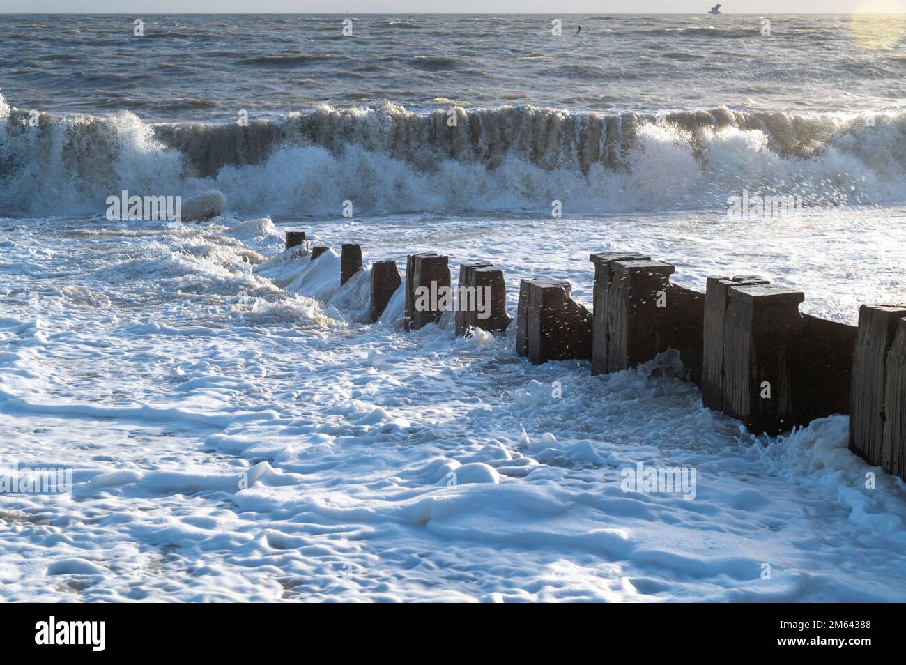 Bexhill groynes hi-res stock photography and images - Alamy
