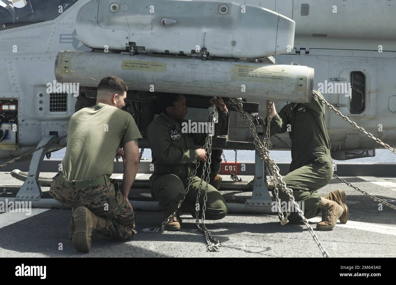 U.S. Marines assigned to Marine Light Attack Helicopter Squadron 369 ...
