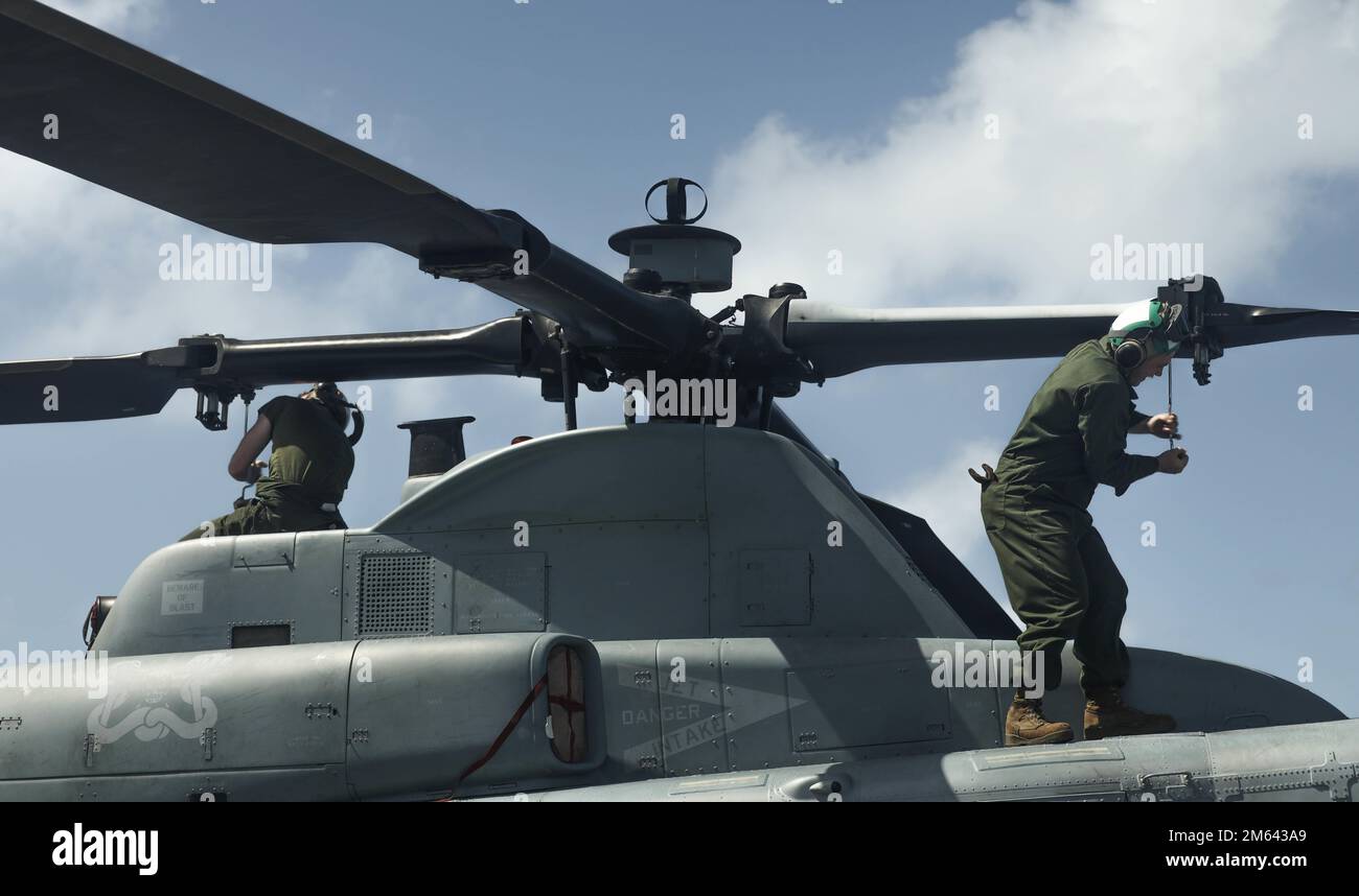 U.S. Marines assigned to Marine Light Attack Helicopter Squadron 369 ...