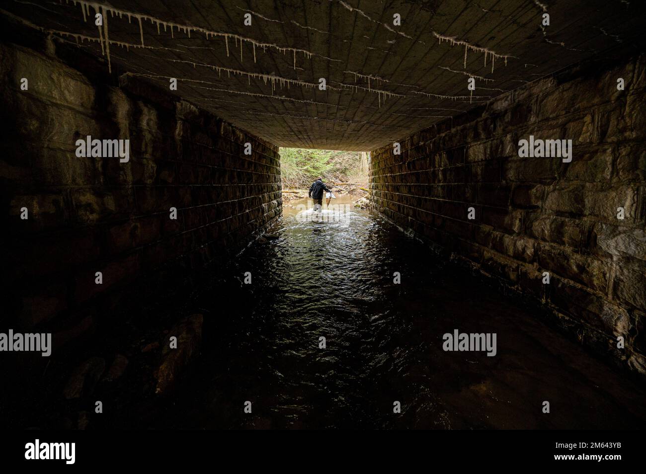 Carl Nim, biologist with the water quality team for the U.S. Army Corps ...