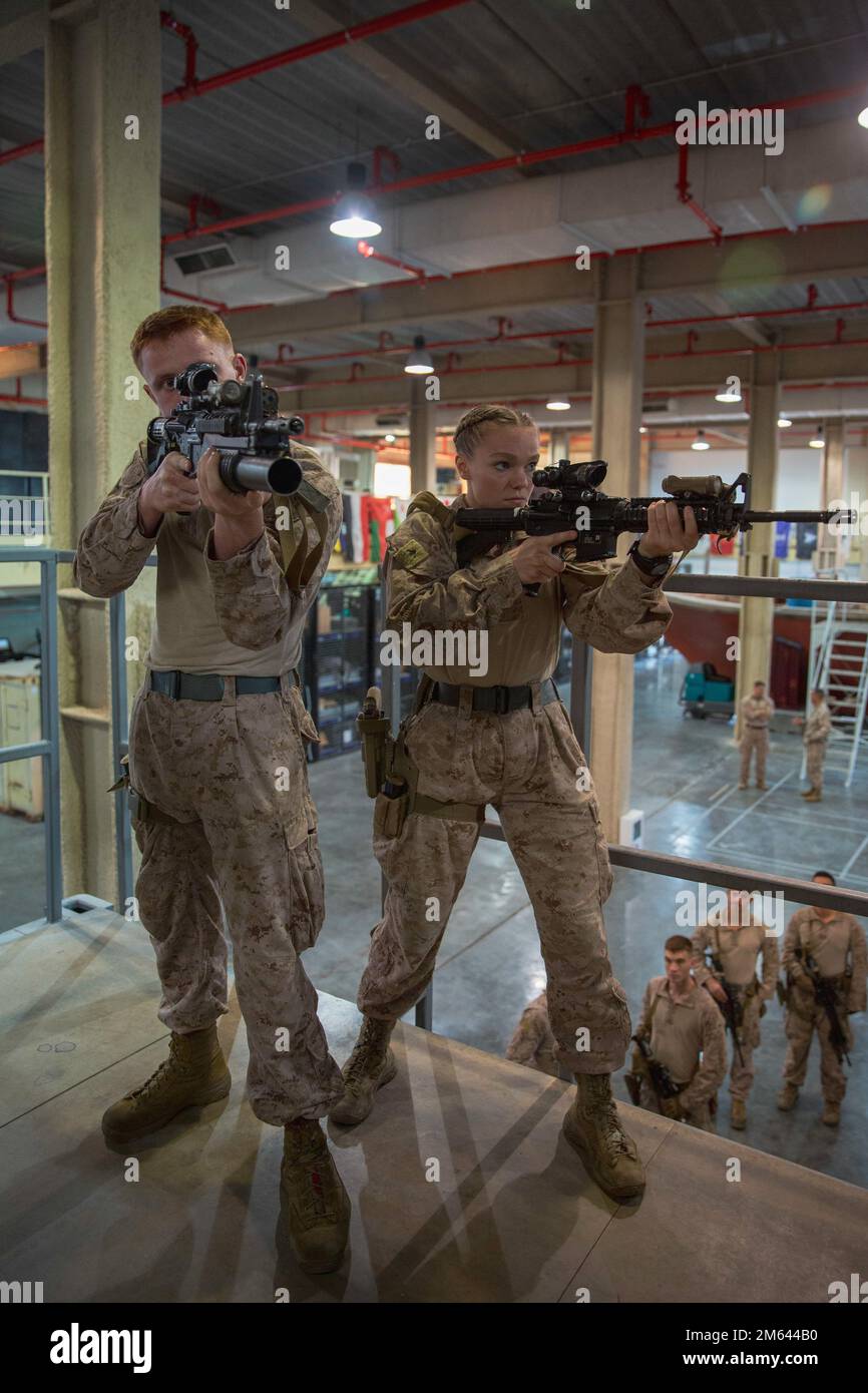 Royal Marines Vs Usmc