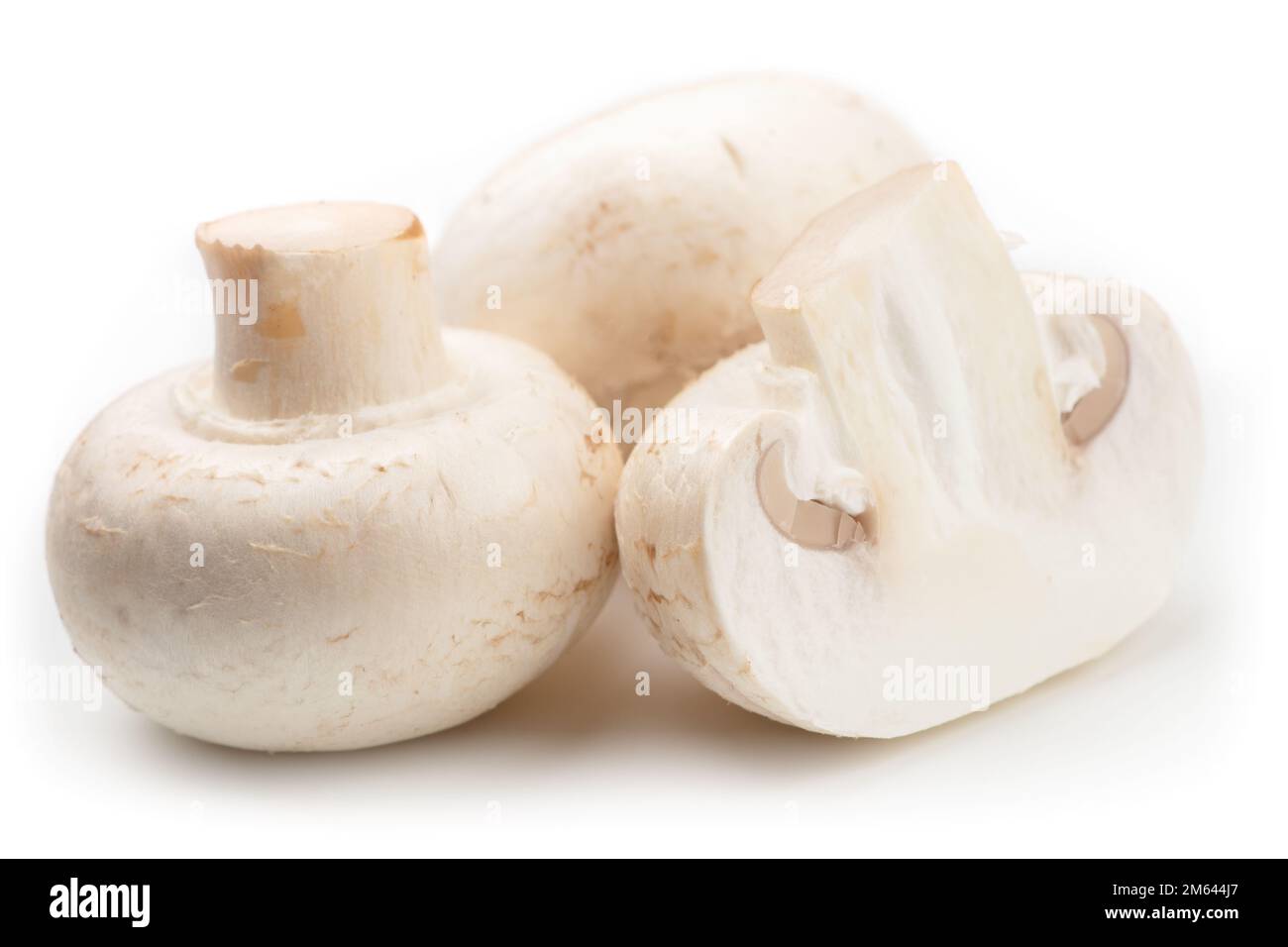 Fresh champignon mushrooms, isolated on white background Stock Photo ...