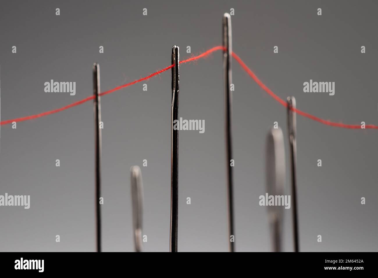 Red thread passing through needles on a grey background Stock Photo - Alamy