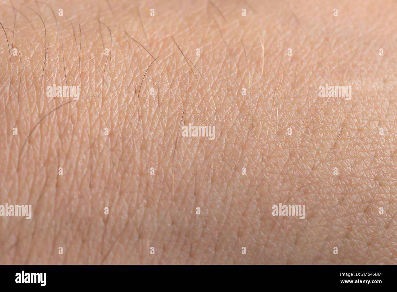 Macro of human skin with hair. Human skin texture Stock Photo - Alamy