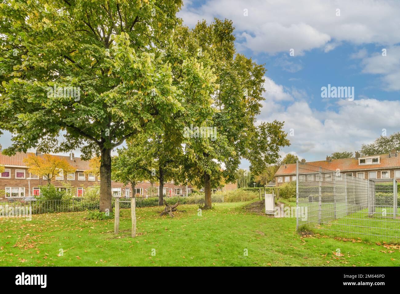some houses and trees in the yard with leaves scattered on the ground ...