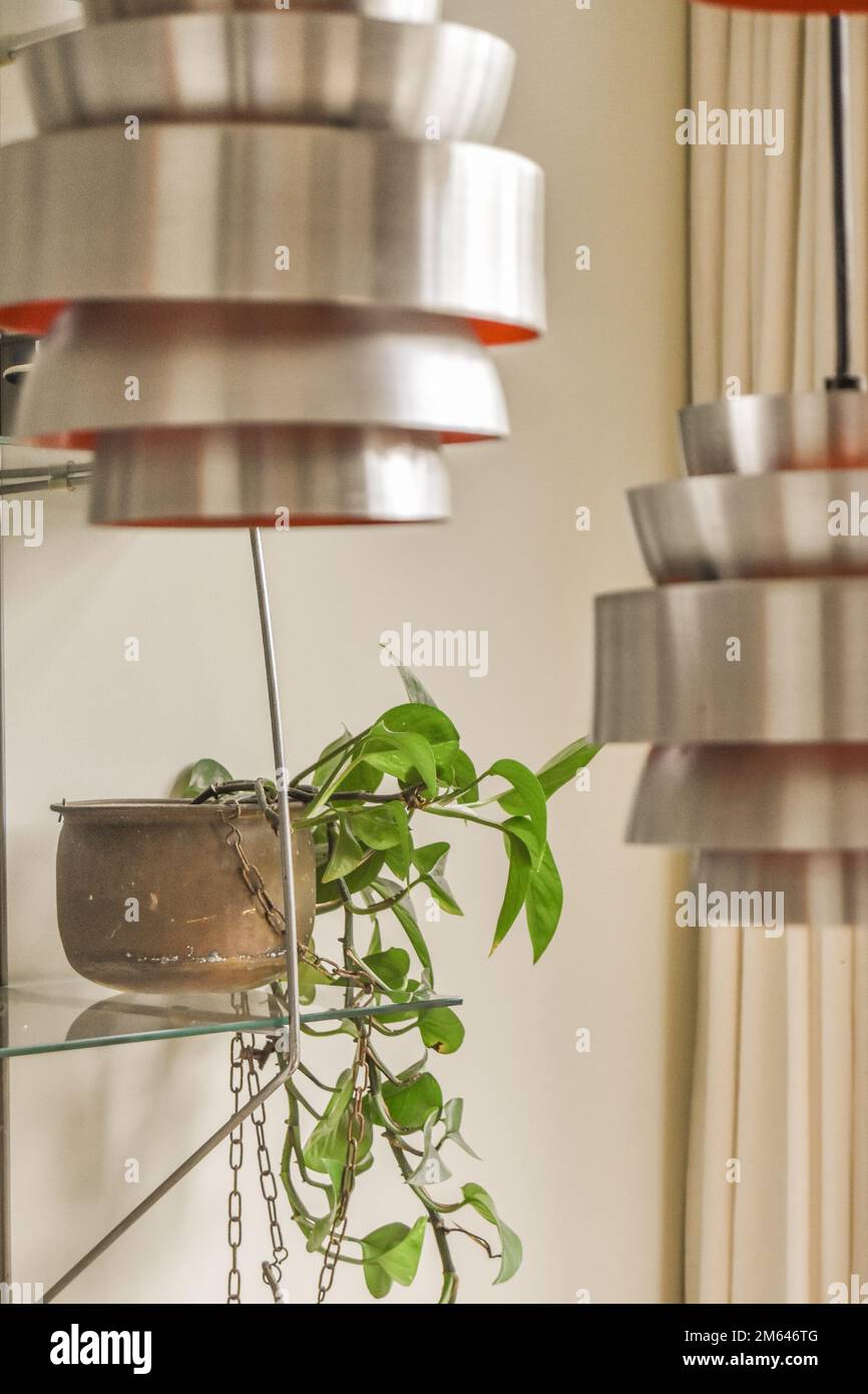 a plant in a pot on top of a shelf with many pots and pans hanging from ...