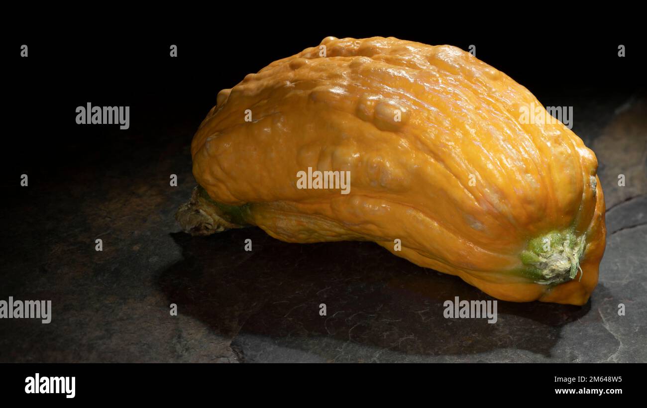 Small and fat yellow squash on a brown stone surface Stock Photo - Alamy