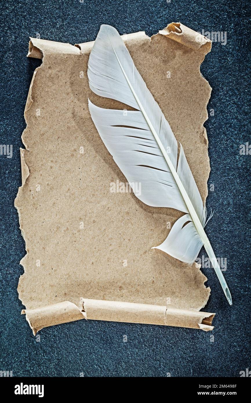 Vintage paper quill on black background Stock Photo - Alamy
