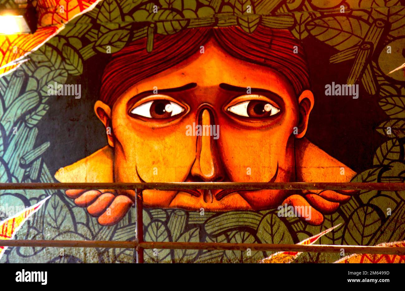 Murals, street art in Parma Italy Stock Photo - Alamy