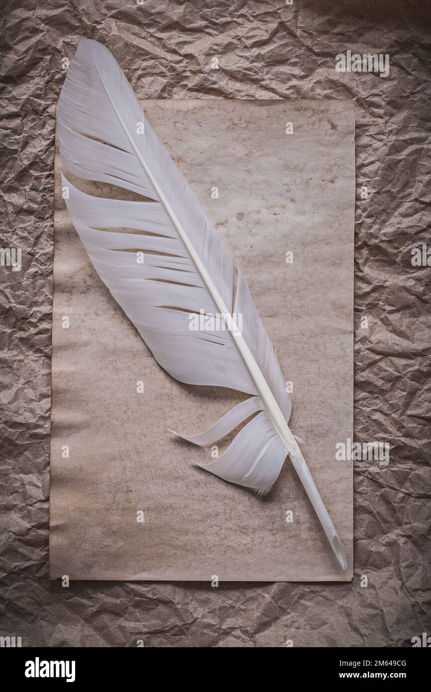 Vintage sheet feather on messy crumpled paper Stock Photo - Alamy
