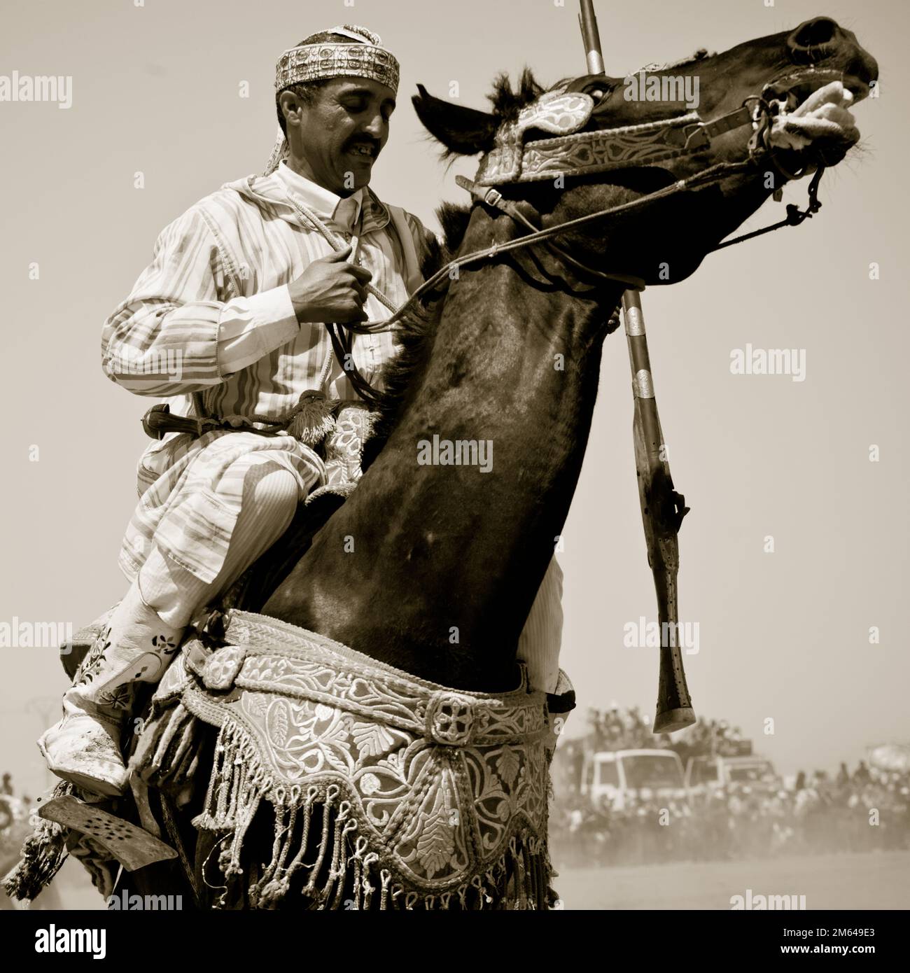 Tbourida maroc hi-res stock photography and images - Alamy