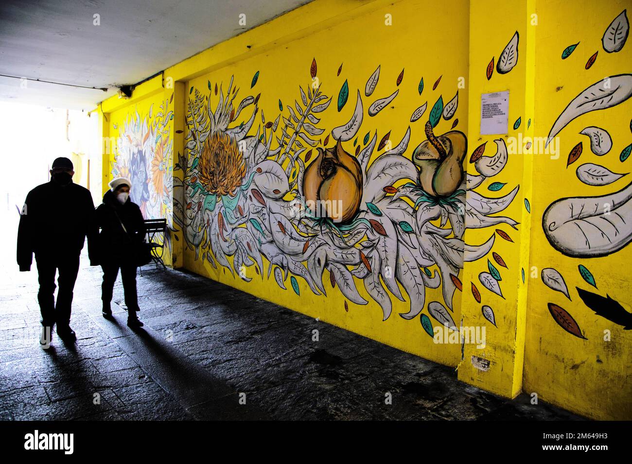 Murals, street art in Parma Italy Stock Photo - Alamy