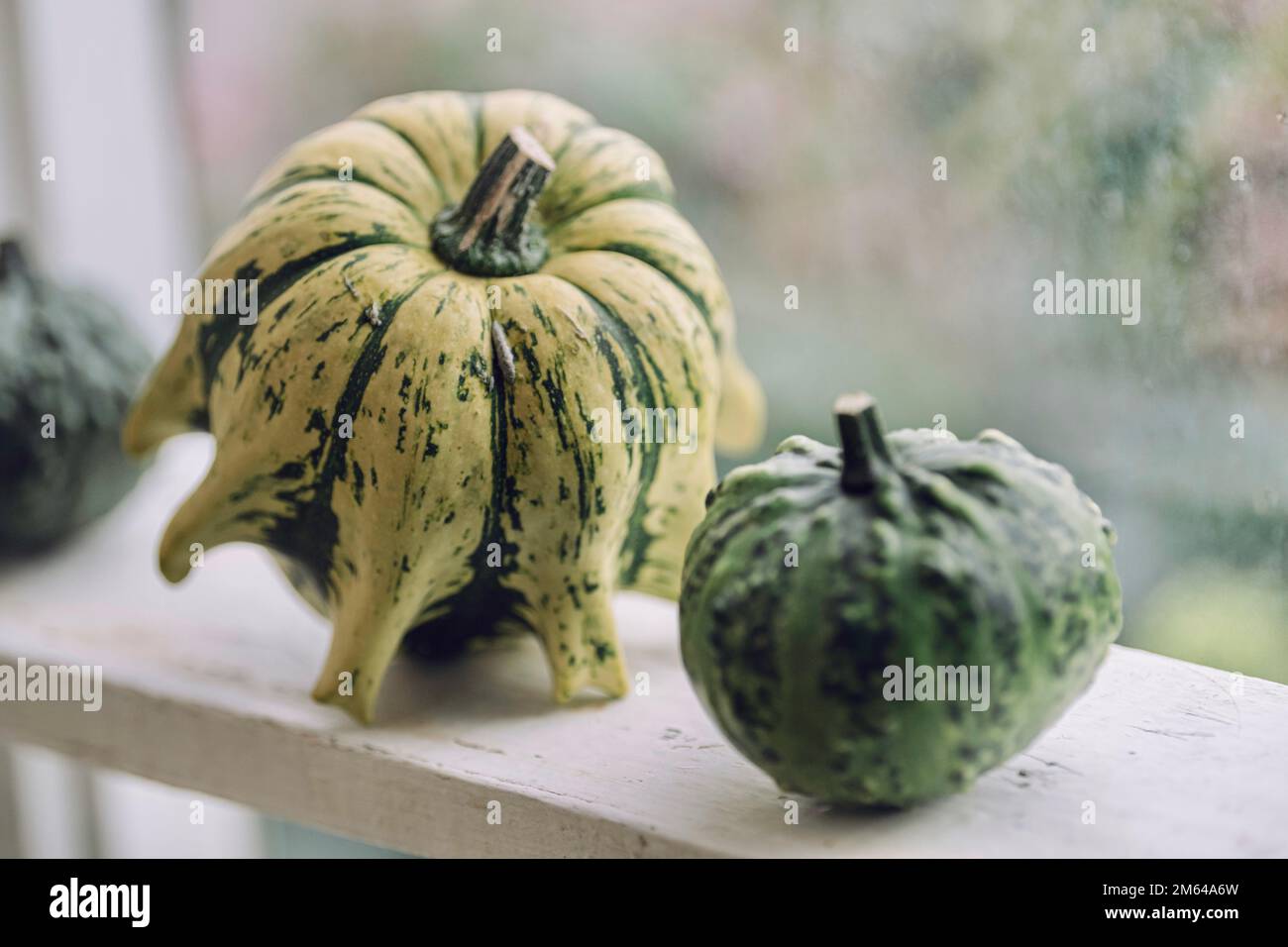 A deform squash on the window deck Stock Photo - Alamy