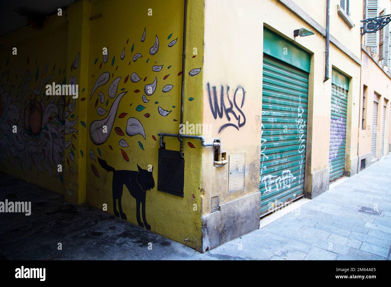 Murals, street art in Parma Italy Stock Photo - Alamy