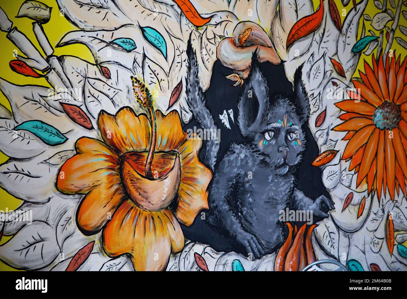 Murals, street art in Parma Italy Stock Photo - Alamy