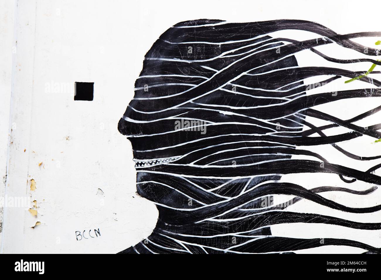 Murals, street art in Parma Italy Stock Photo - Alamy