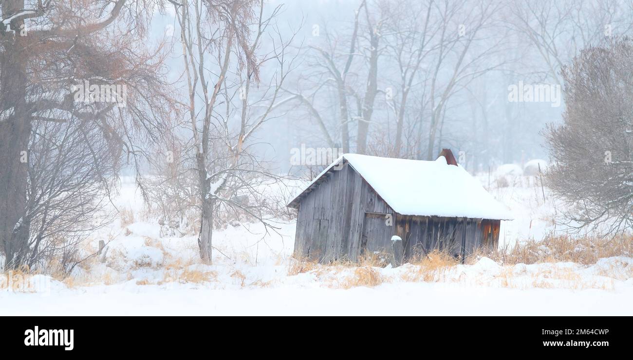 Weathered rusted wooden shack hi-res stock photography and images - Alamy