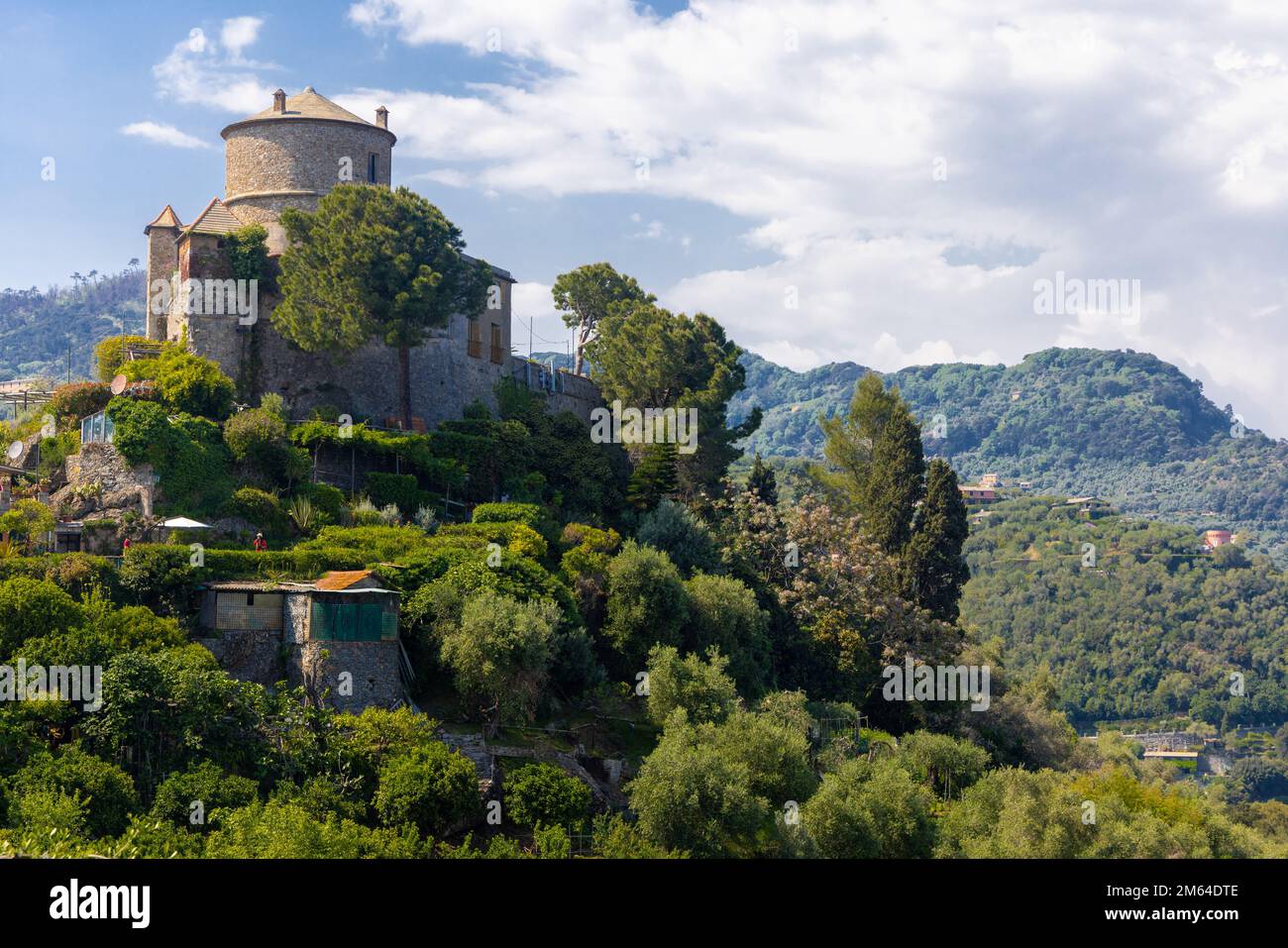 Brown Castle surrounded by green olive trees and plants in the middle ...