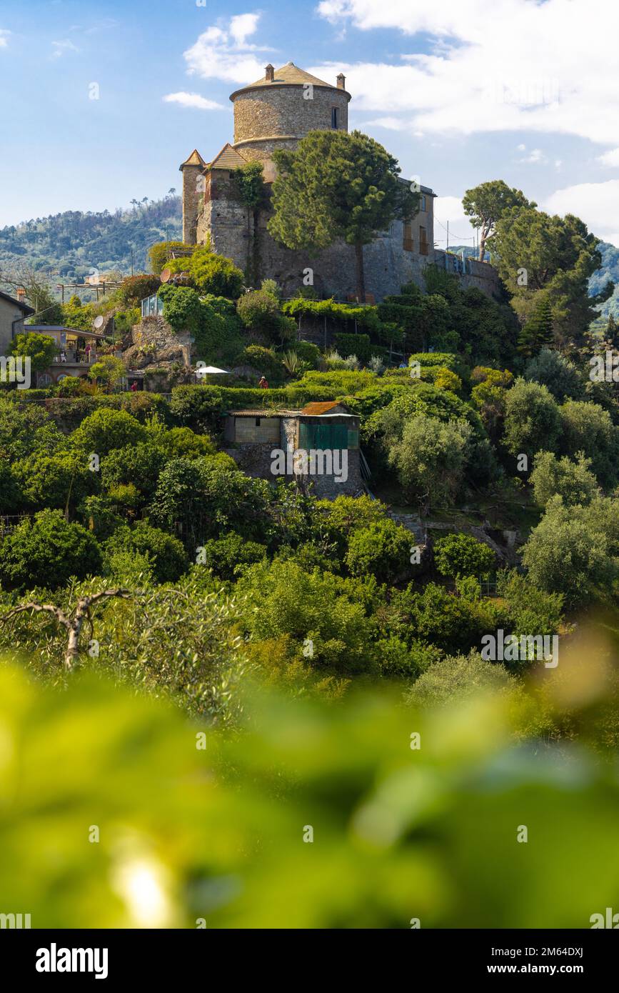 Brown Castle surrounded by green olive trees and plants in the middle ...