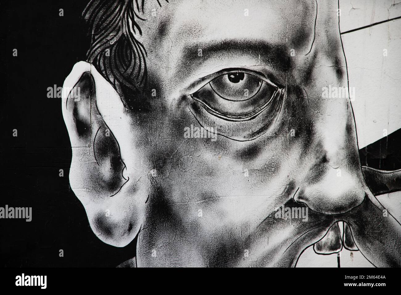 Murals, street art in Parma Italy Stock Photo - Alamy