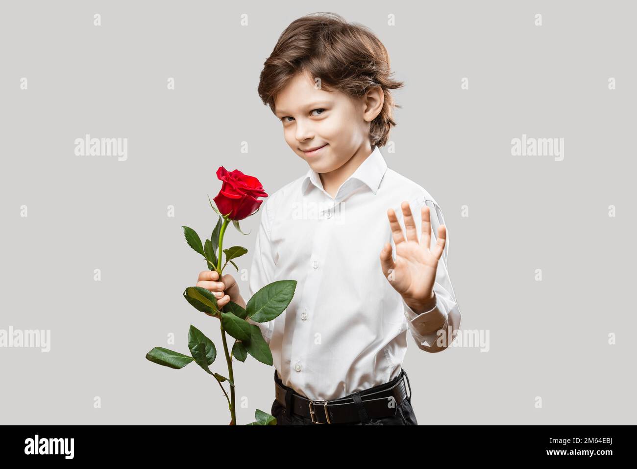 Little Boy Wearing a White Shirt Holding a Single Red Rose Flower ...