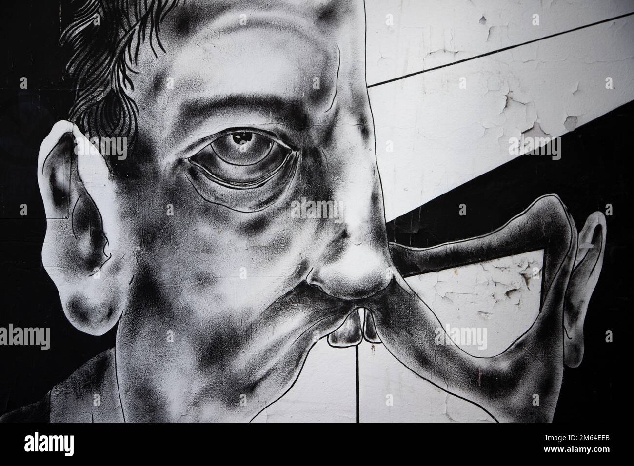 Murals, street art in Parma Italy Stock Photo - Alamy