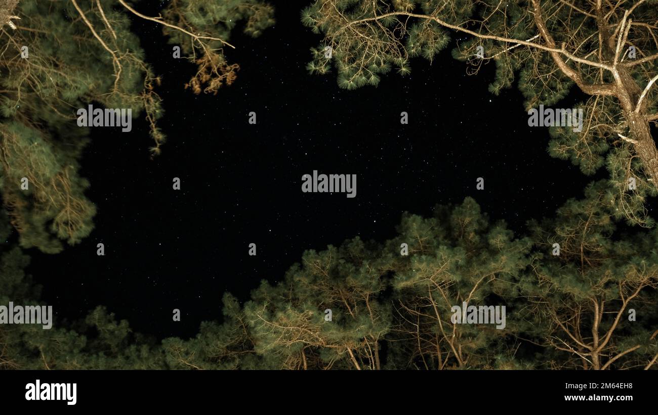 Starry night sky with animated backgrounds of twinkling or flickering ...