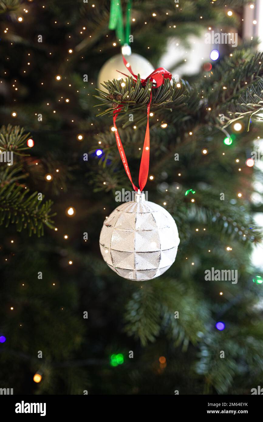 Shiny Christmas white ball hanging on pine branches with festive ...