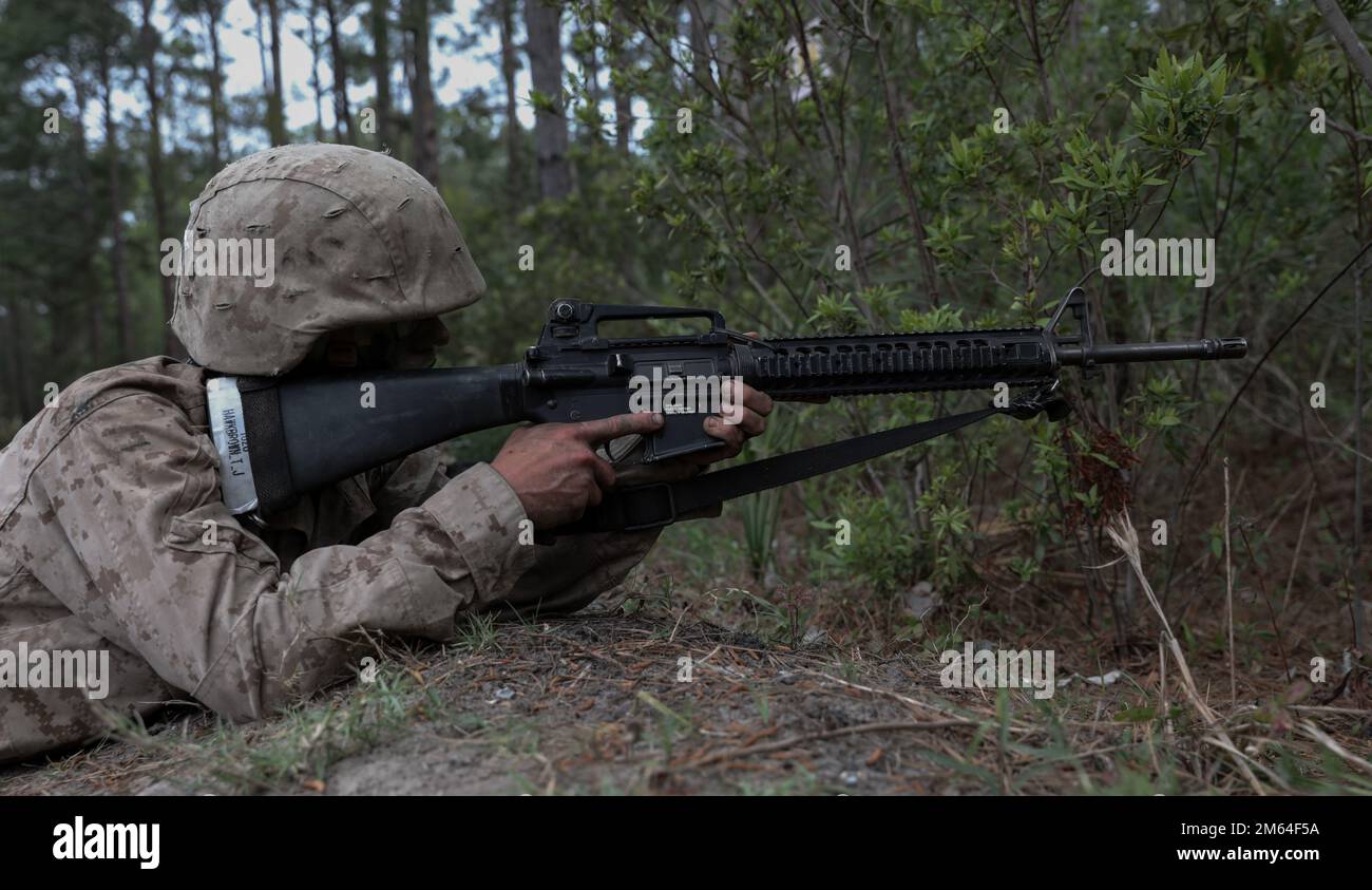 Recruits with Delta Company, 1st Recruit Training Battalion, complete ...