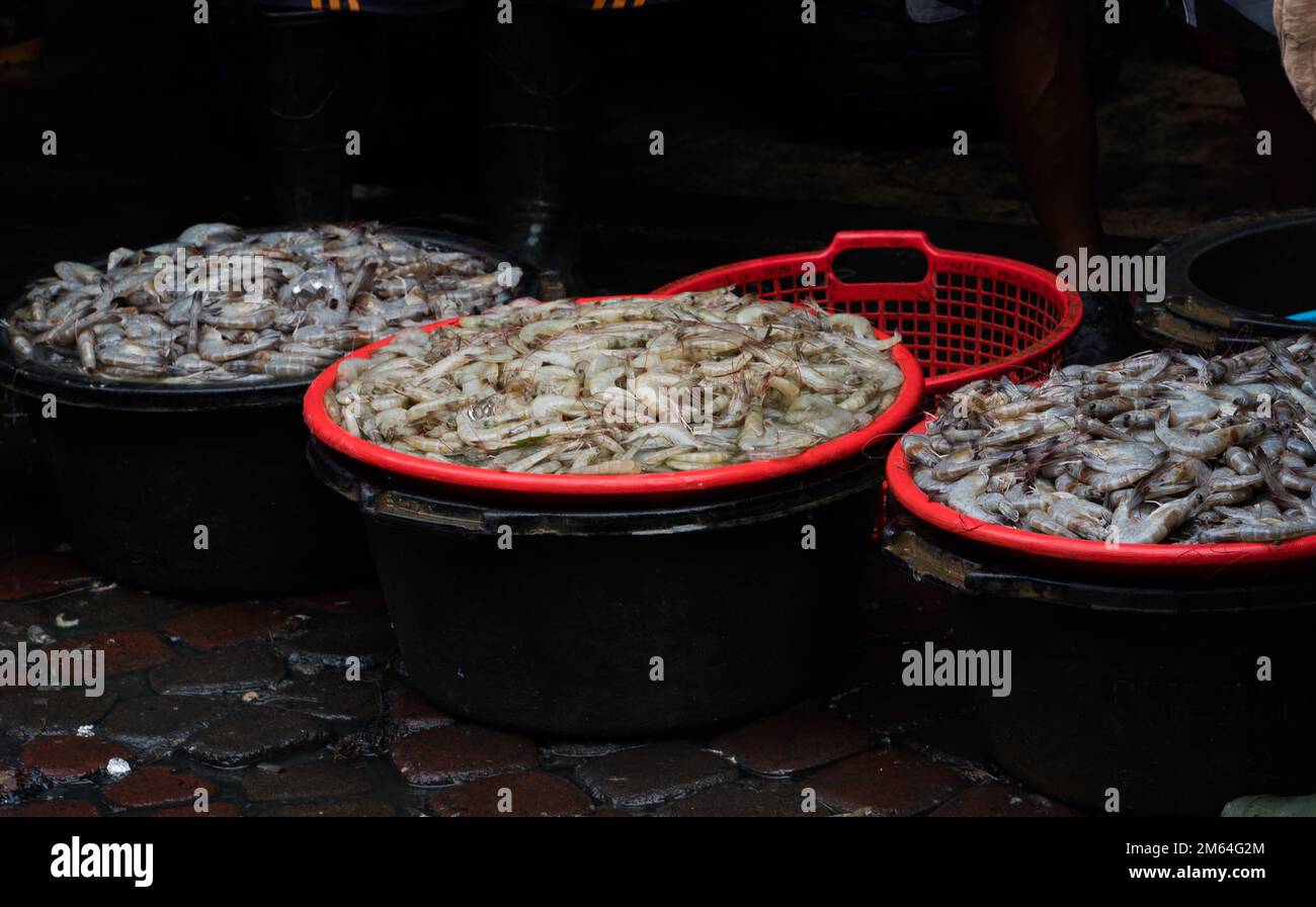 Prawns in plastic container hi-res stock photography and images - Alamy