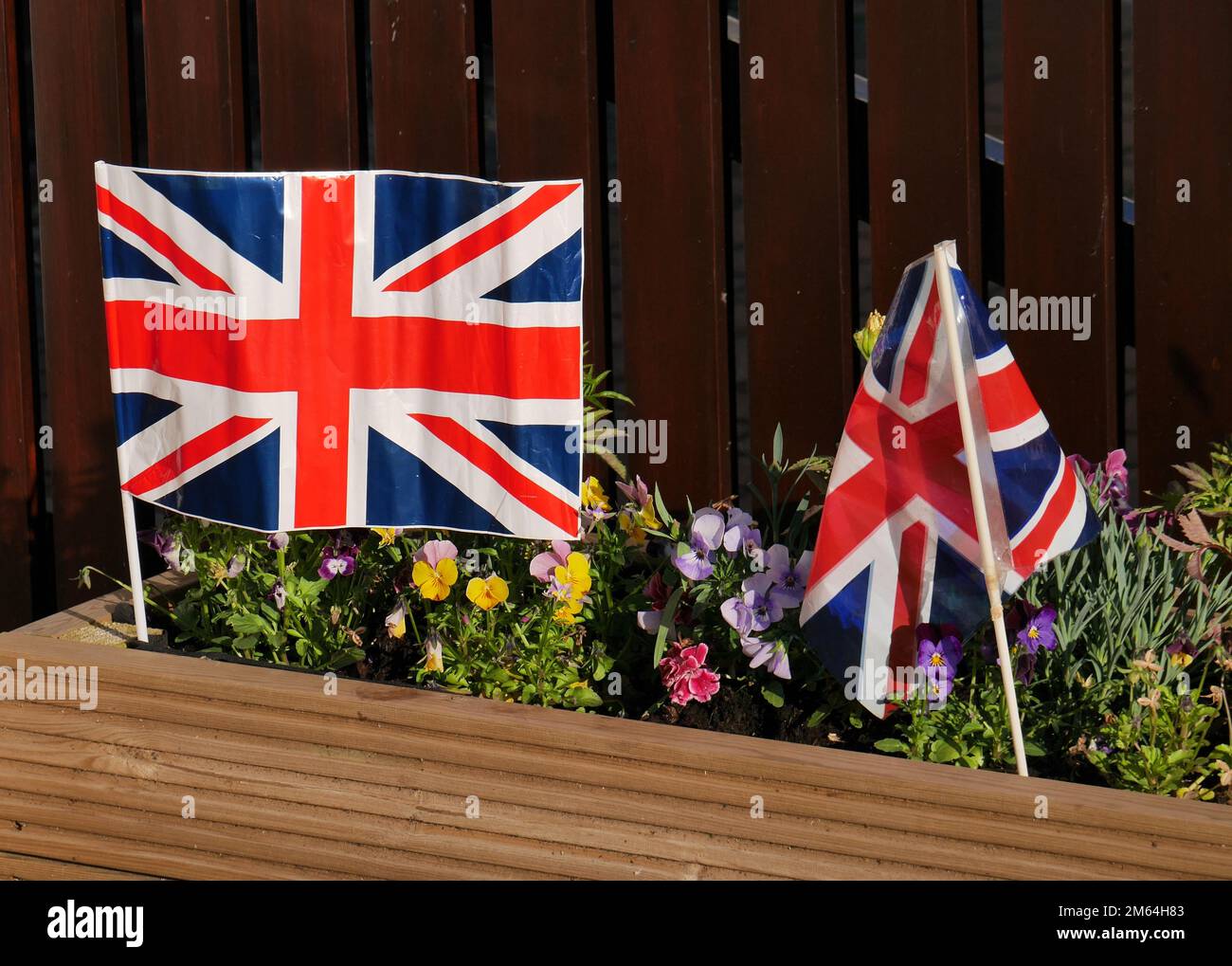 Union Jack Flags Displayed among flowers in container to Celebrate the ...