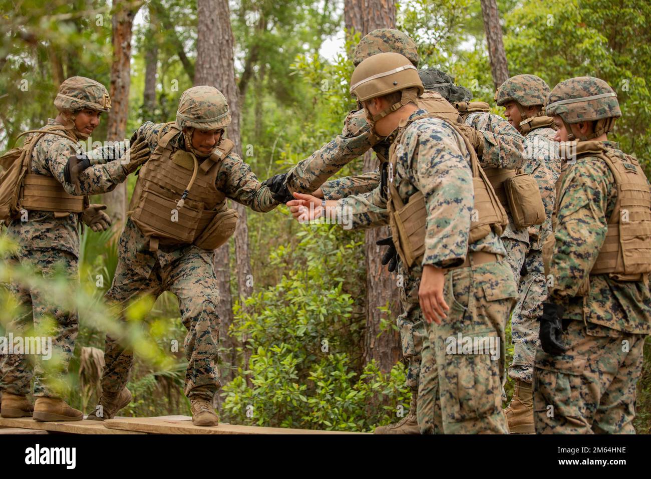 U.S. Marines with Combat Logistics Regiment 37, 3rd Marine Logistics ...