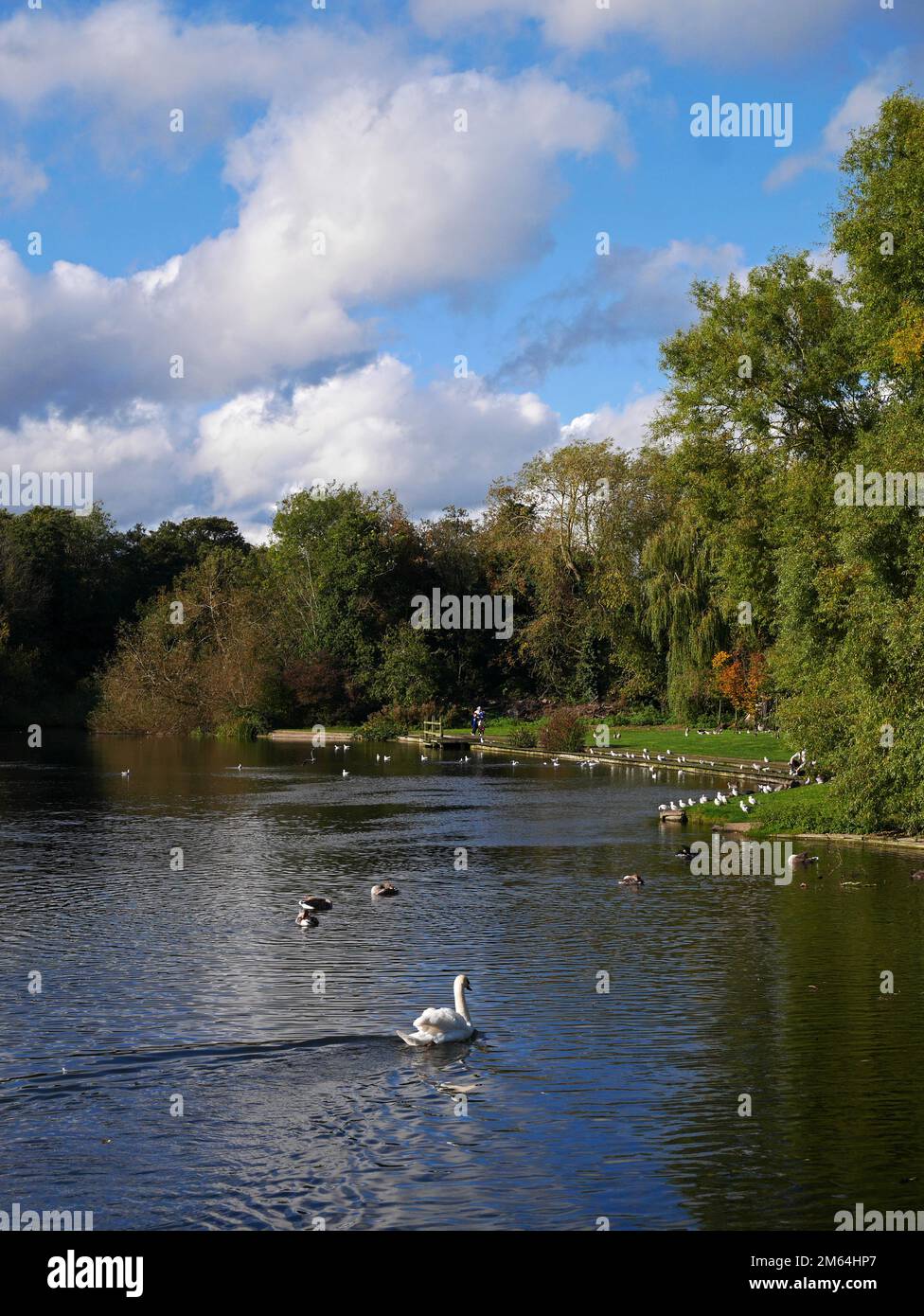 The River Wensum, beside The Picturesque Wensum Park with its Wildlife ...