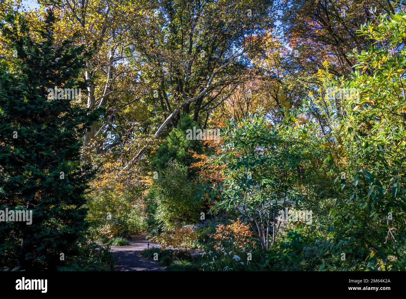 Native flora garden, Brooklyn Botanic Garden, founded in 1910, New York ...