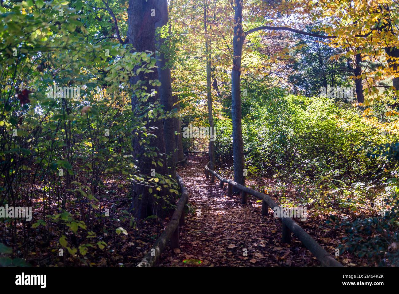 Native flora garden, Brooklyn Botanic Garden, founded in 1910, New York ...