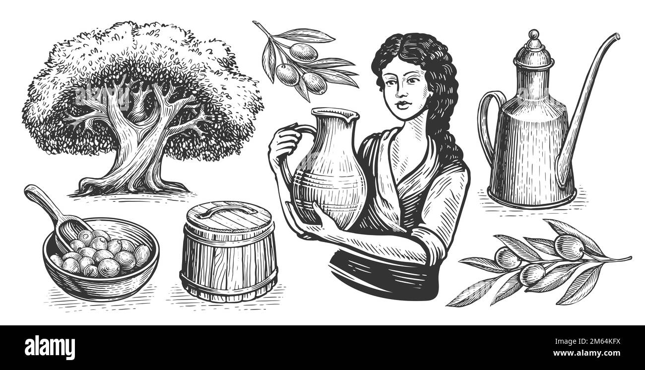 Olive oil concept. Healthy organic natural farm food. Collection of ...