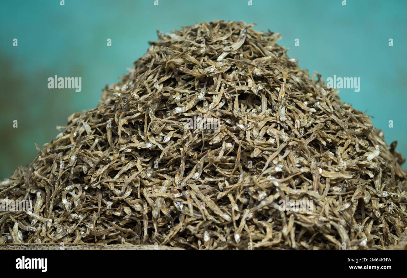 Pile anchovy tiny fish hi-res stock photography and images - Alamy