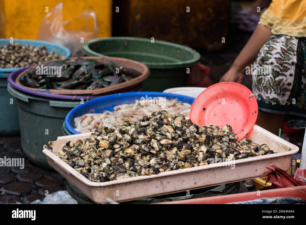 The mussel filling has been peeled and sold at the fish market Stock ...