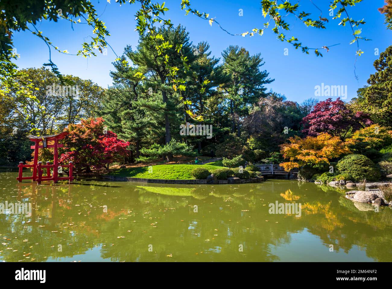 Japanese Hill-and-Pond Garden, Brooklyn Botanic Garden, founded in 1910 ...