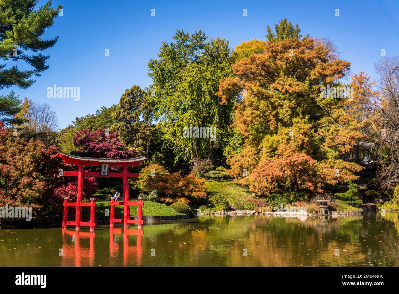 Japanese Hill-and-Pond Garden, Brooklyn Botanic Garden, founded in 1910 ...