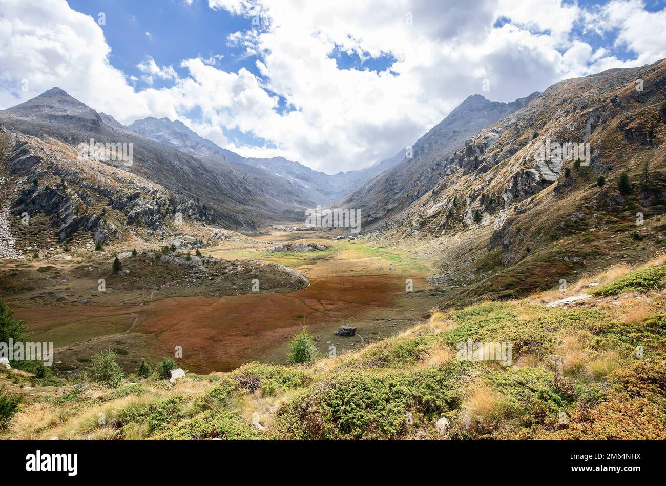 Deep flat gorge in middle of Italian Alps covered with autumn yellow ...