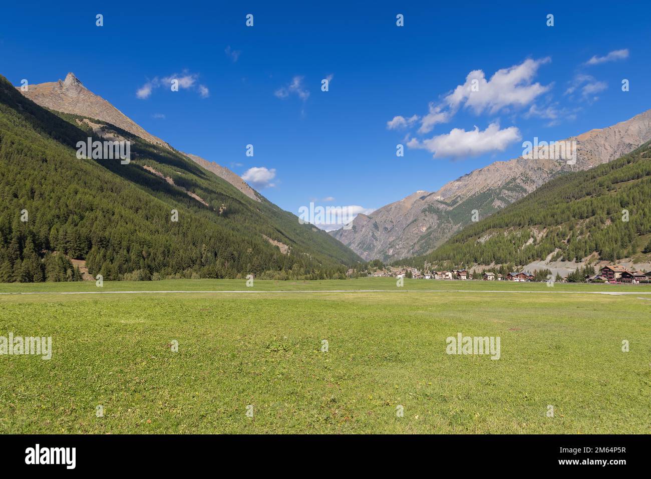 Paved straight path crosses flat evergreen famous Alpine Sant Orso ...