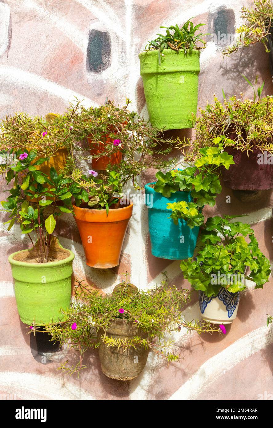 Potted plants hanging from wall in garden, Dar Tourkia hotel, Taroudant ...