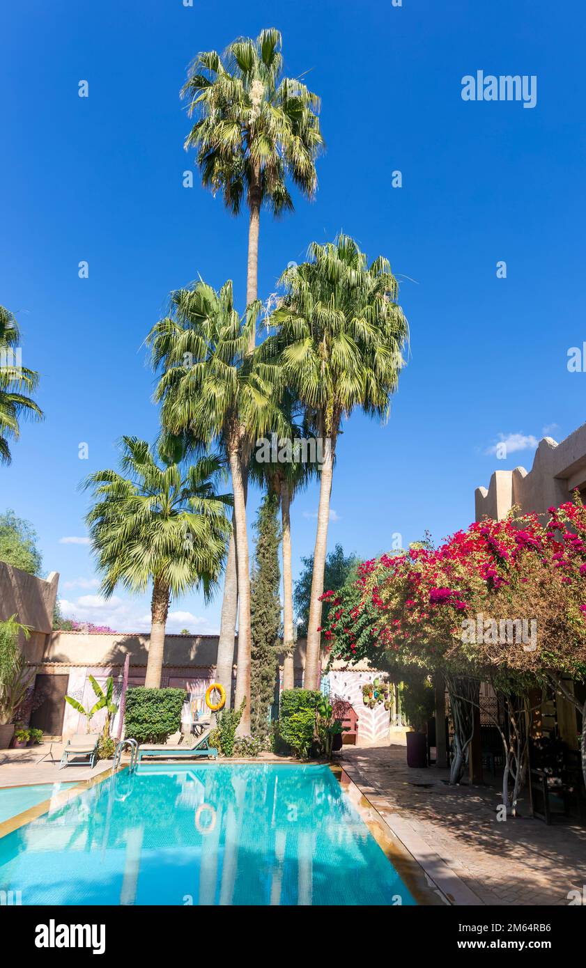 Date palm trees and swimming pool, Dar Tourkia hotel, Taroudant, Sous ...