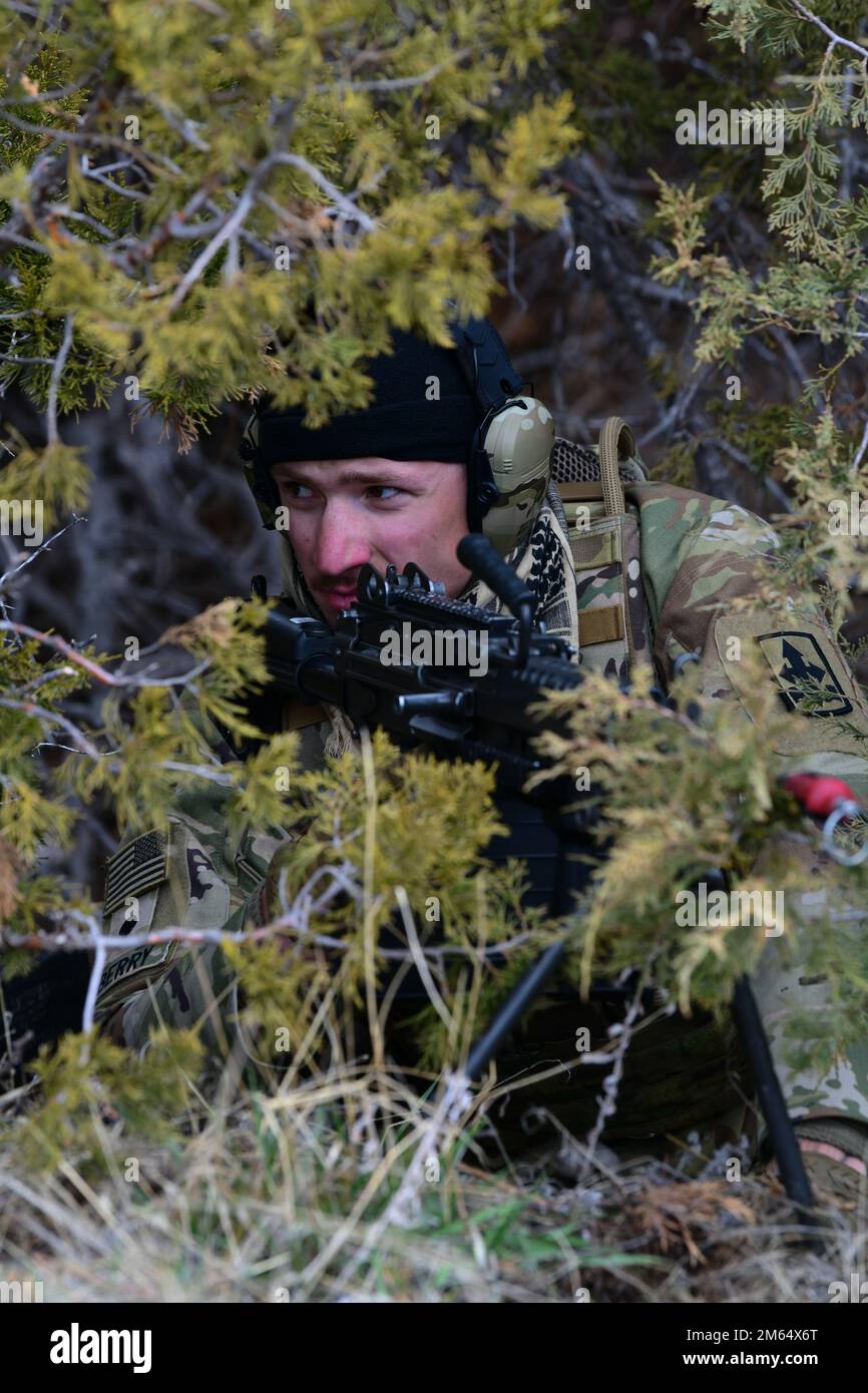 An Army soldier playing the role of an opposing force hides in a tree ...