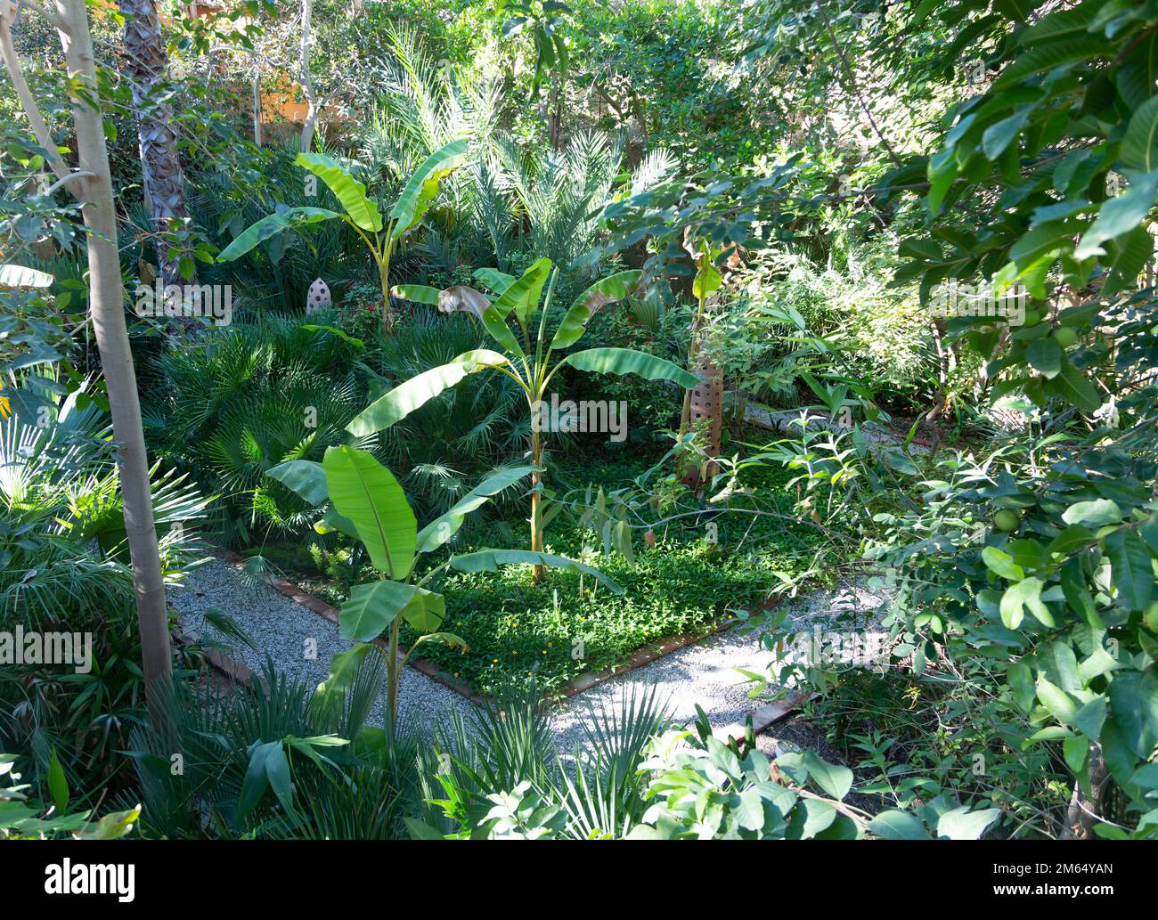 Sunken garden tropical plant collection Dar al Hossoun hotel, Taroudant ...